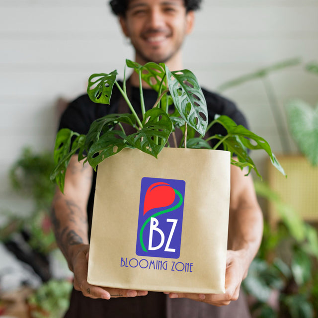 About Us – Blooming Zone | Your One Stop Gardening Center